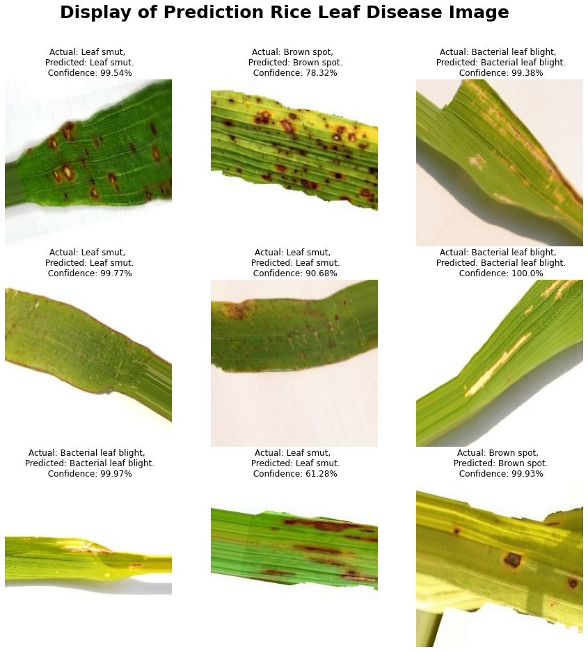 Rice Leaf Disease - dianakrism